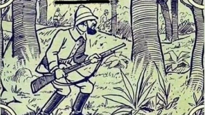 Skrytý slon na obrázku hraje na nervy! Najde ho jen 1 % lidí