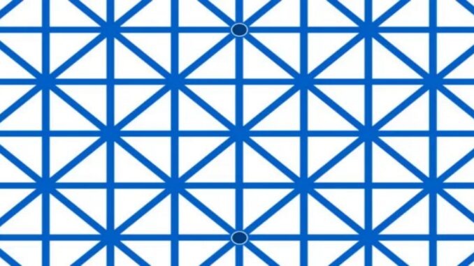 Pouze 5 % nejlepších dokáže najít všech 9 bodů v této optické iluzi