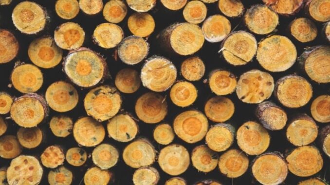 Najděte skrytou minci na obrázku do 15 sekund. Dá to jen génius