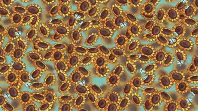 Bez nápovědy dokážou včelu najít jen géniové s IQ nad 135