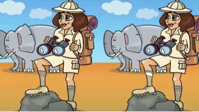 Pouze génius najde mezi obrázky tři rozdíly do 8 sekund