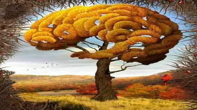 Vizuální test, který vám může ukázat, jakou máte inteligenci