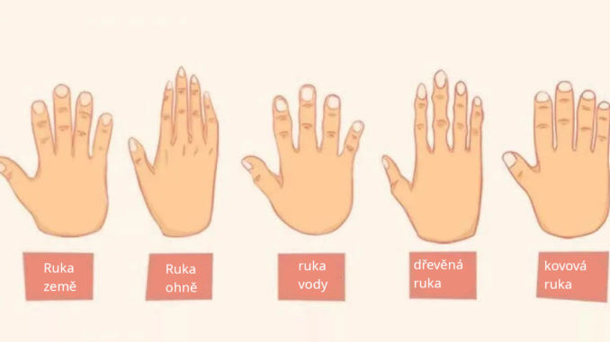 Tvar ruky je úzce spojen s vaší osobností. Prozradí o vás všechno