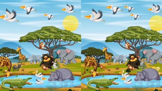 Pouze nejbystřejší hledači rozdílů si poradí s touto hádankou