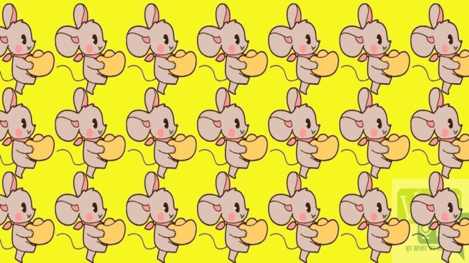 Bez nadprůměrné inteligence se s tímto testem IQ ani nezdržujte