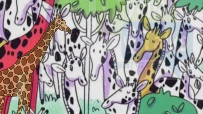 Tento chaotický obrázek spolehlivě zatočí se smysly 98 % lidí